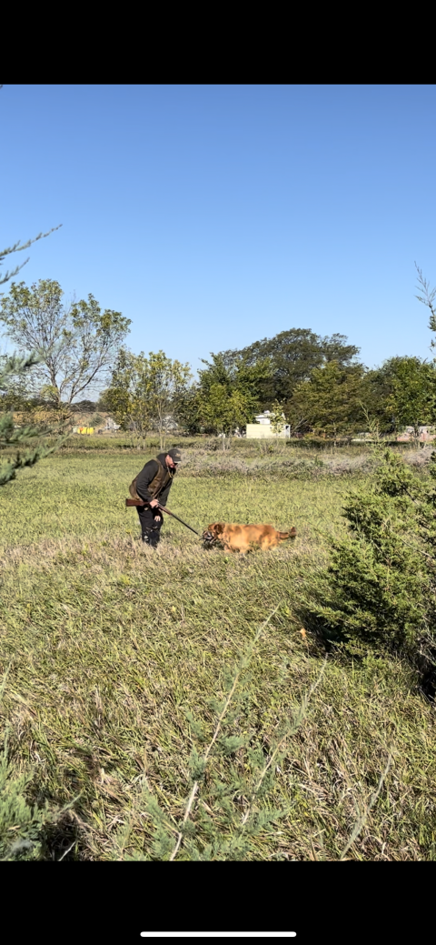 Gallery - Wilderness Kennels | Boarding and Training Facility in ...